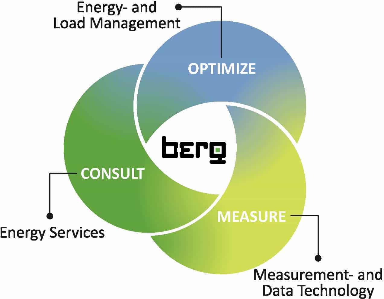 Homepage - Berg - Die Energieoptimierer